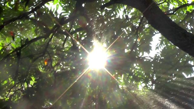 169 Мулук 13mp4