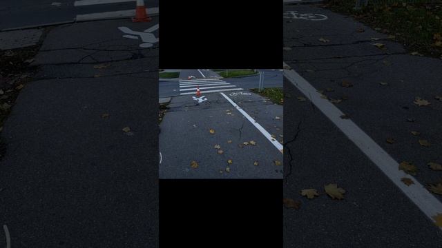 Самокатчтиков надо выбрасывать на автомобильную дорогу