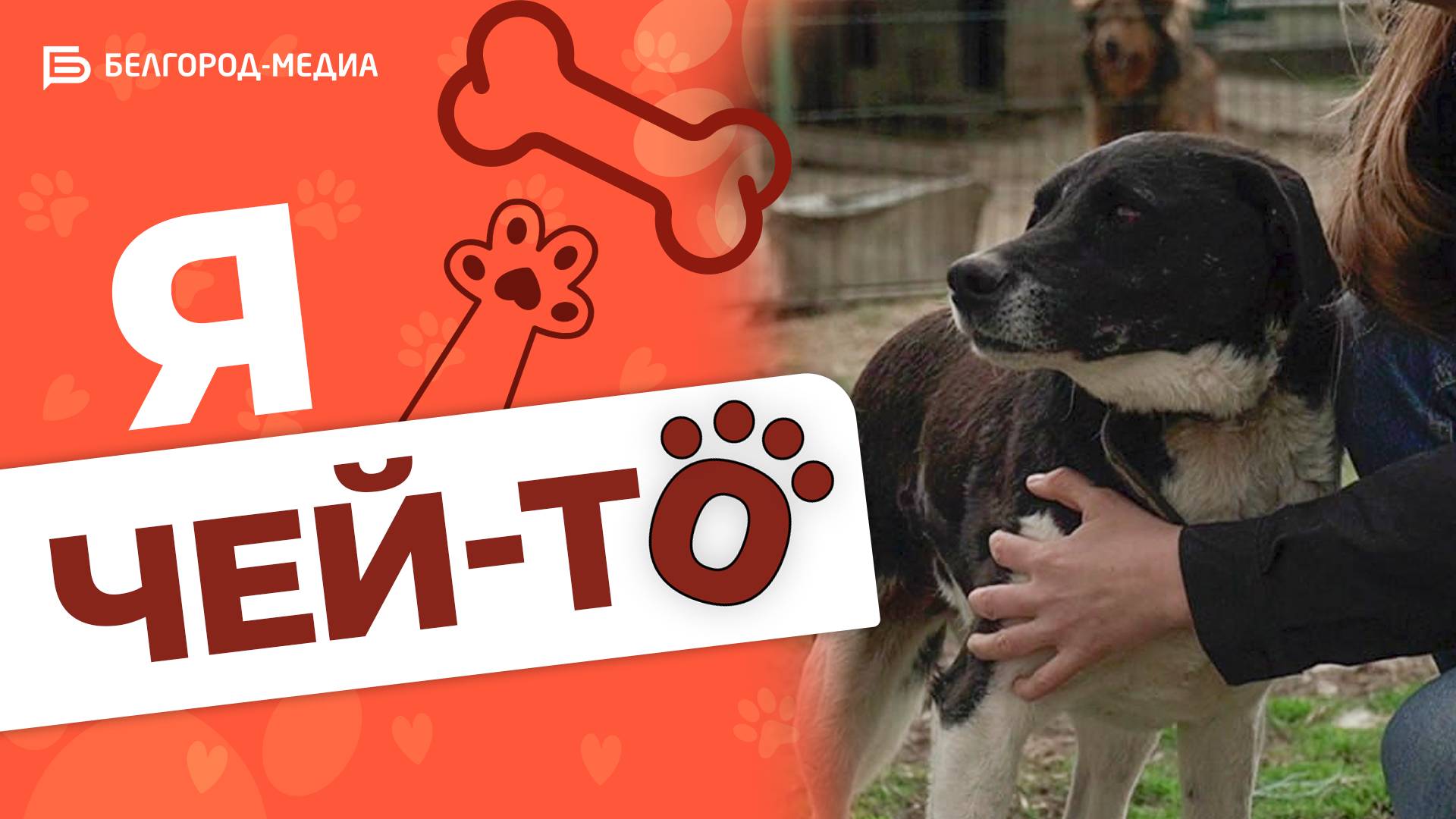 Пёс Макгрегор | Проект «Я чей-то»