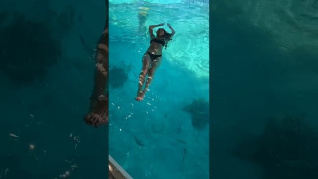 Kingdom of sea. Аквапарк в Турции, Кемер. Интересные места в Кемере. Бассейн со скатами.