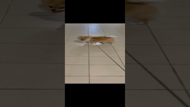 Ура идём на улицу