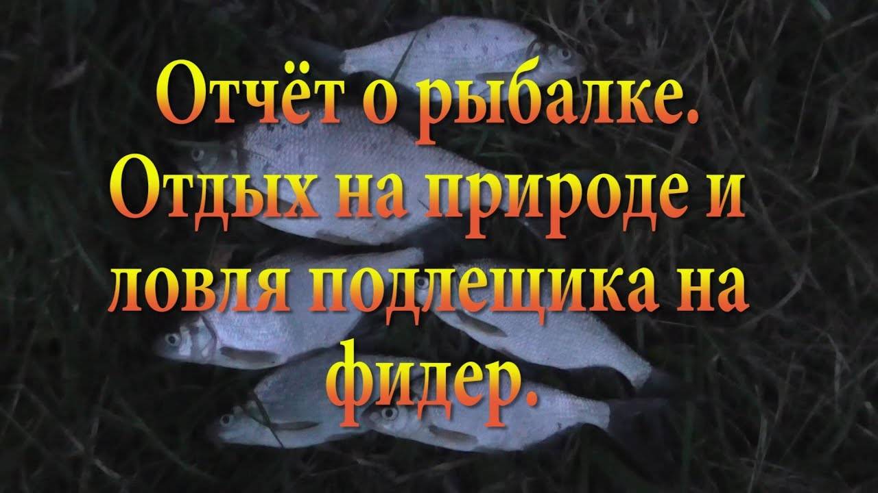 Отчёт о рыбалке. Отдых на природе и ловля подлещика на фидер