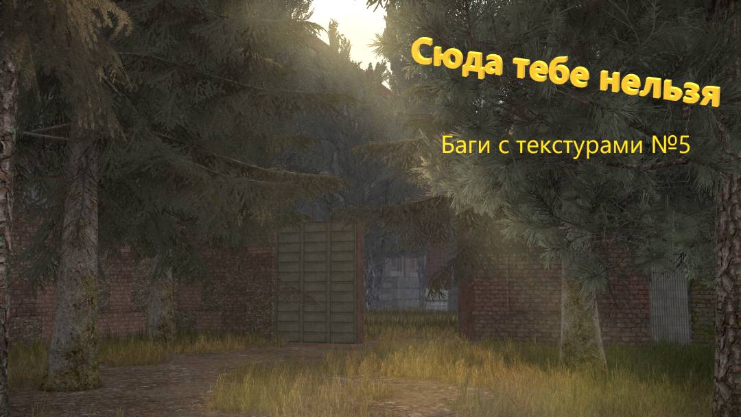 Баги в БАРЕ! Нашел кучу потайных лазов! STALCRAFT X