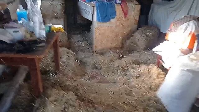 Несколько дней из жизни Степана 😊🤗: новая счастливая жизнь инвалидика 👏♿️!