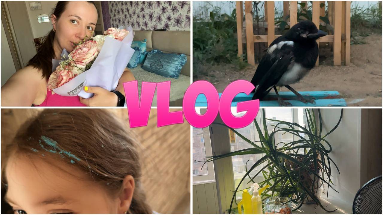 Учли все ошибки! Заготовка алоэ!