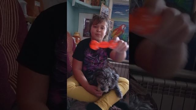 мой любимый питомец.