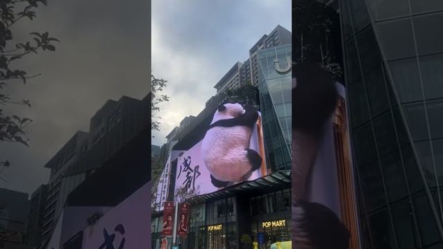 Ох уж эта панда! 🐼