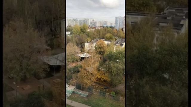 Вид из окна