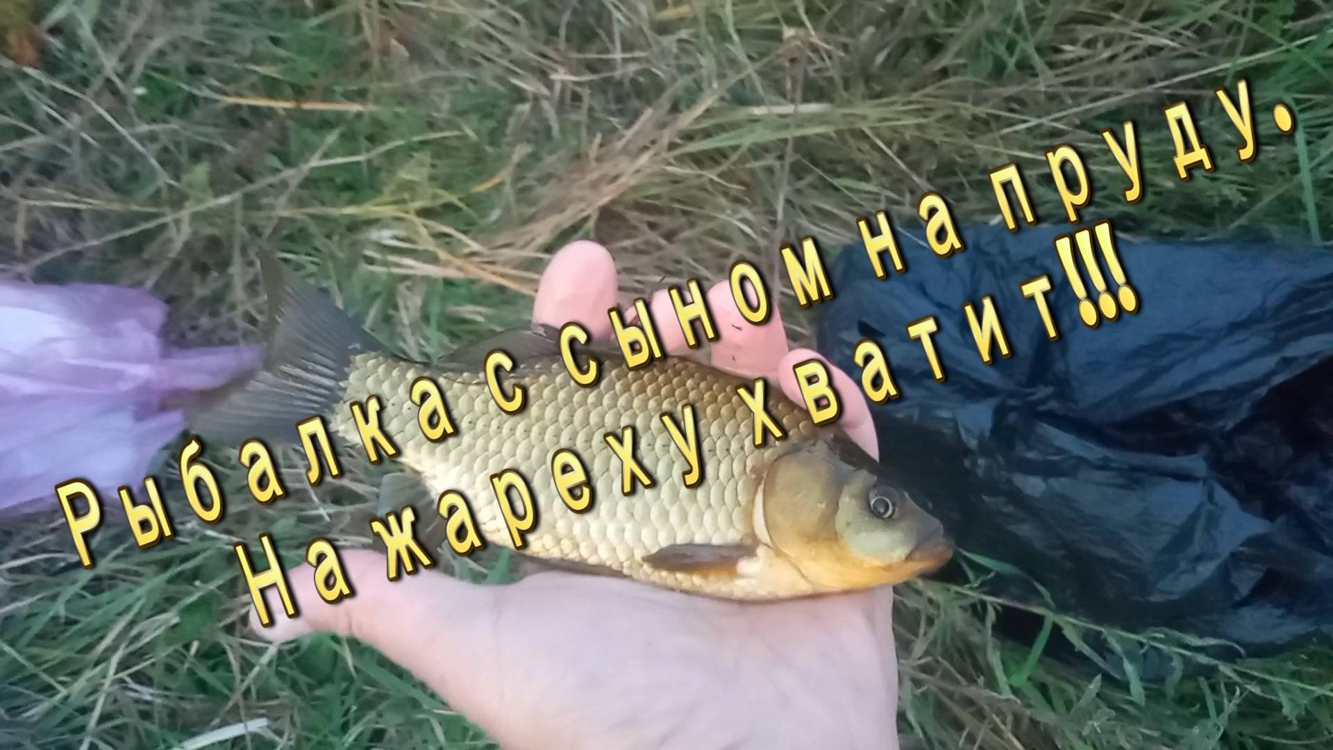 Рыбалка с сыном на пруду. На сковородку хватит!!!