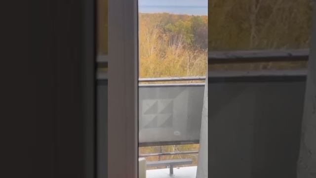 Ремонт в санатории им Ленина