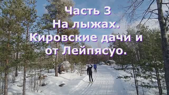 3 На лыжах. Кировские дачи, Лейпясуо