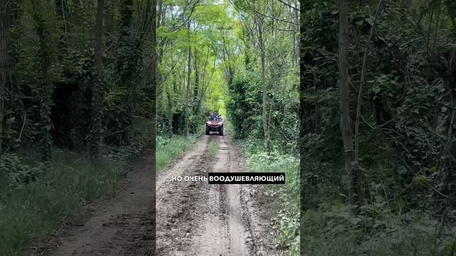 Отзывы КВАДРО93