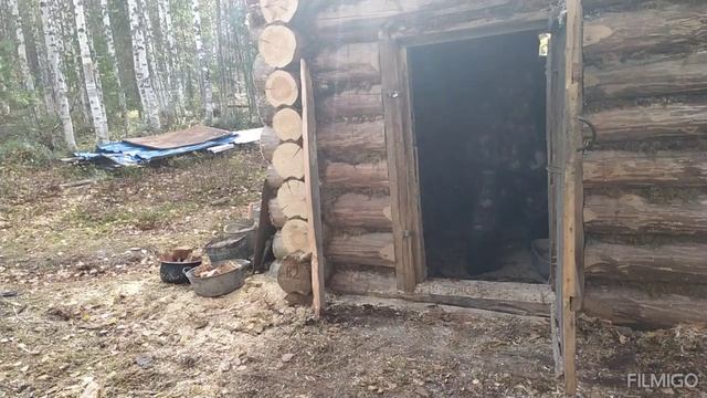 строительство лесной избушки.Часть 9.