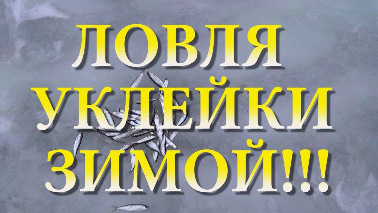 ПОДЛЕЩИК НЕ КЛЕВАЛ!!!...  ЛОВЛЮ УКЛЕЙКУ ЗИМОЙ СО ЛЬДА