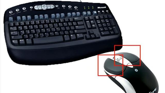 5. Word 2003. Клавиатура и мышь.