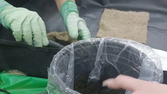 Создание биоразлагаемых горшочков