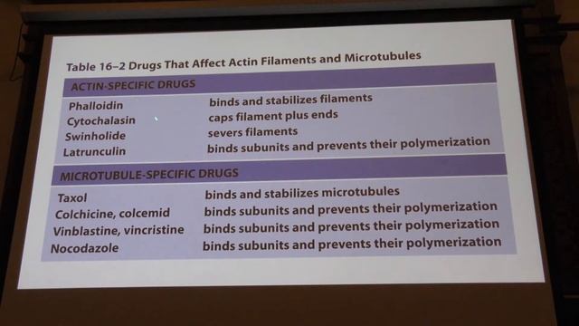8. Клеточная биология - Онищенко Г. Е. Teach-in.