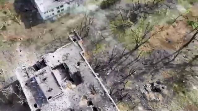 В обойме... 19 10 24