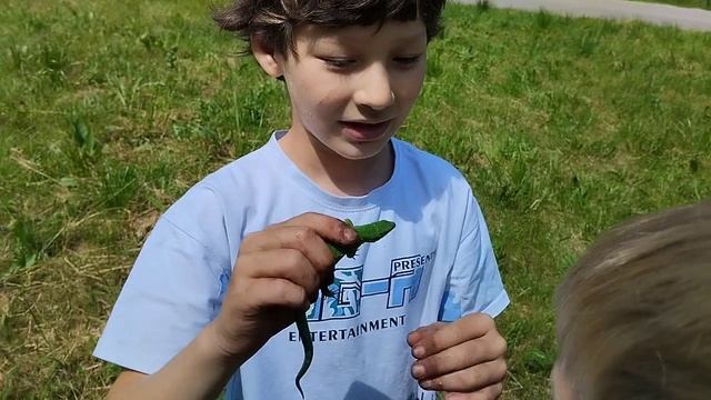 16.06.2023 Дети, спорт, лес