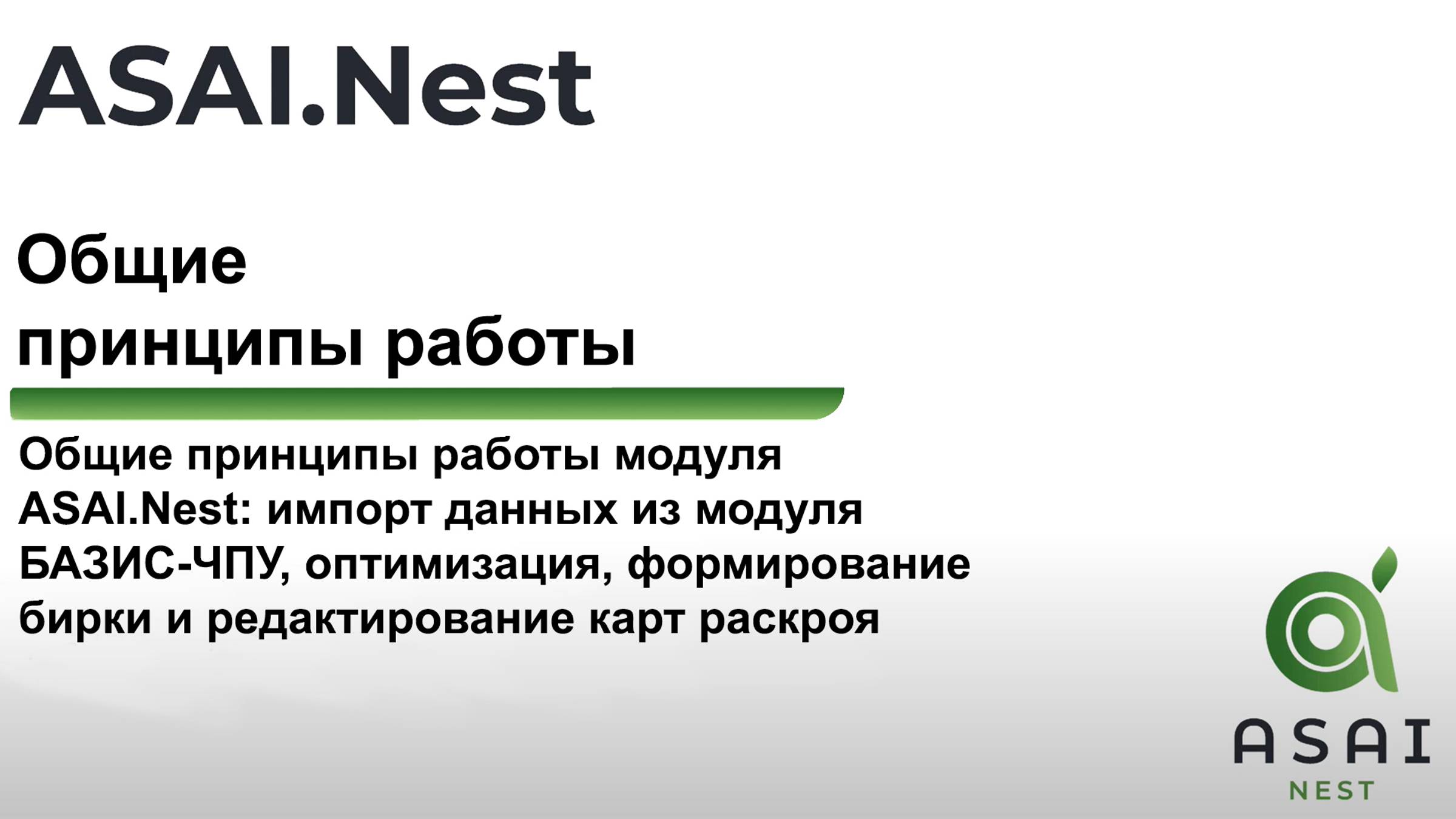 ASAI.Nest - Общие принципы работы