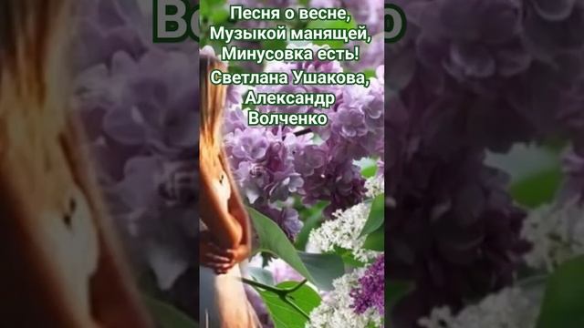 Музыкой манящей, обращайтесь за минусовкой песен https://vk.com/id160746682