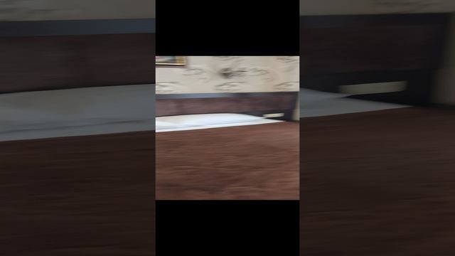 Лазаревское сентябрь 2024