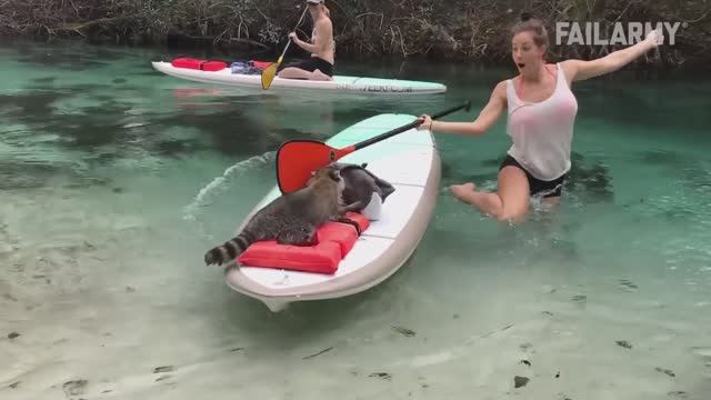 Лучшие Приколы 2024 Действительно Плохой День