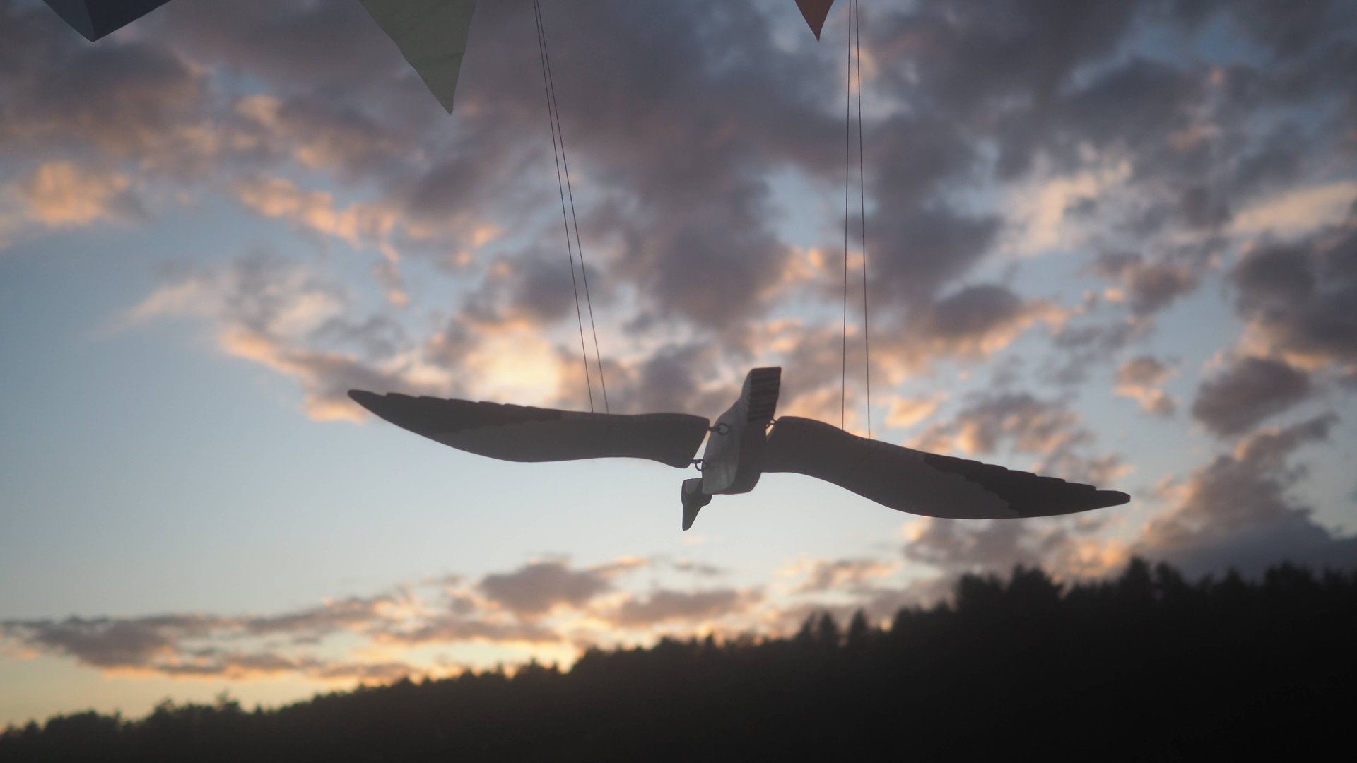 разбор бессонница 2024