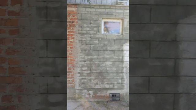 Выходные на даче 2024