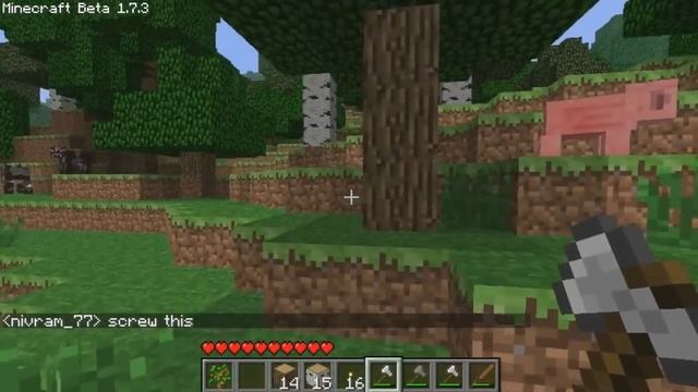 Minecraft CREEPYPASTA_ The NPC