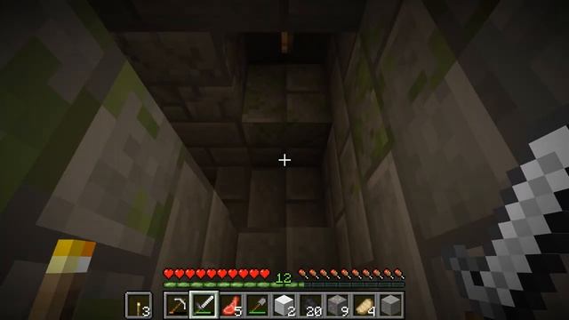 Minecraft CREEPYPASTA_ The Well Dweller