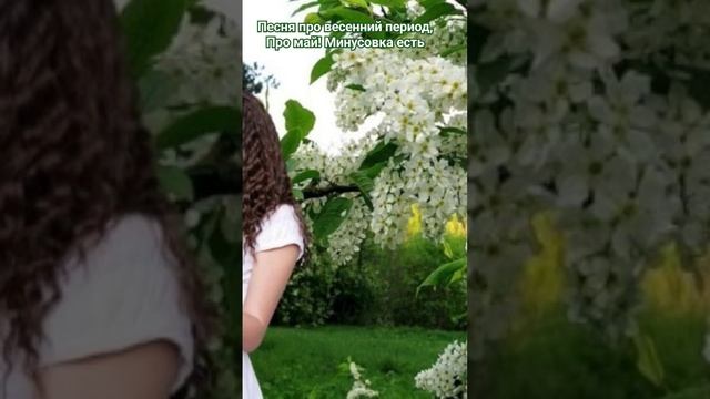 Музыкой манящей