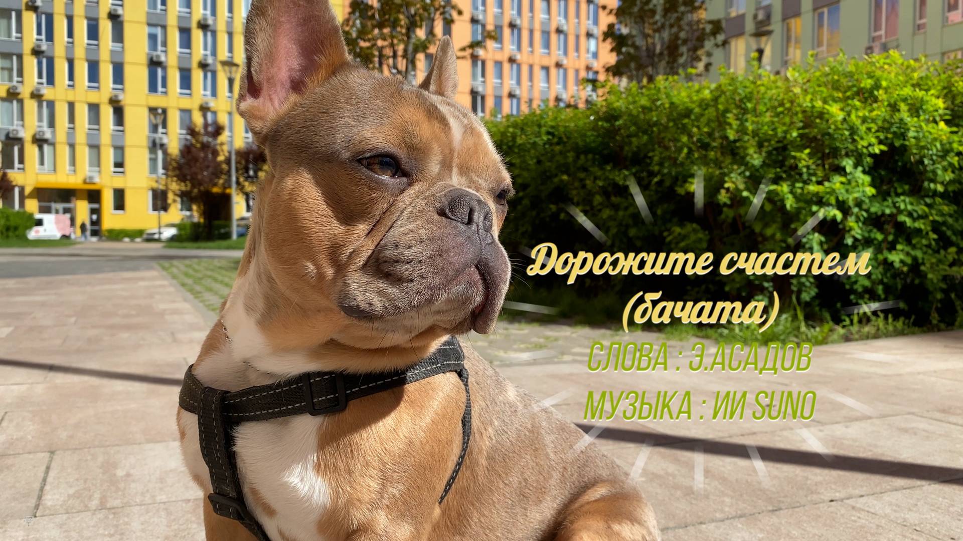 Дорожите счастьем (бачата)