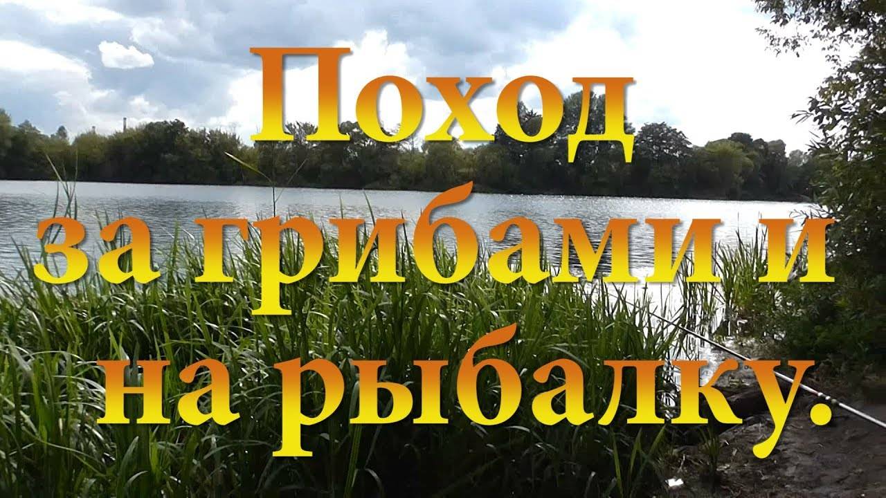 Поход за грибами и на рыбалку. Клевал подлещик и густера