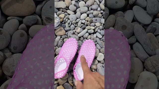 Лазаревские сентябрь 2024