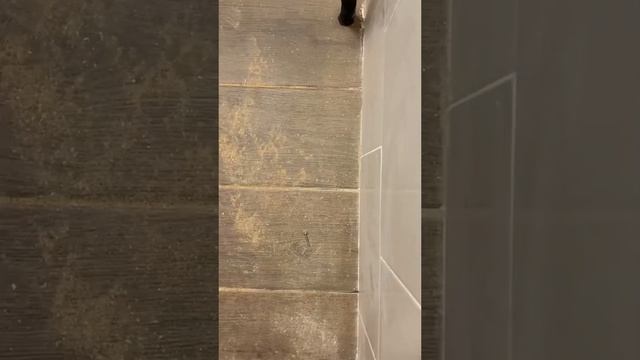 Генеральная уборка