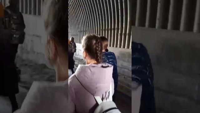 2 октября, 2022 г. Детский крестный ход в монастырь св. Царственных страстотерпцев. Ганина Яма.