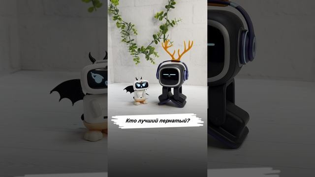 Кто лучший пернатый? Робот Emo или Aibi