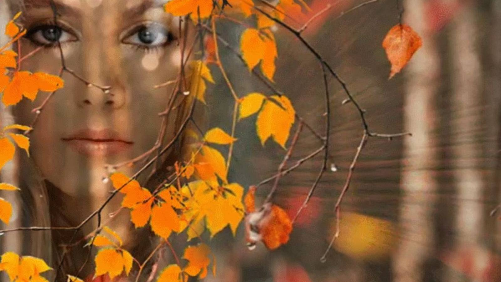 Немного ГРУСТИ ДЛЯ ДУШИ...  ЗАПОЗДАЛАЯ ОСЕНЬ… Музыка Эдгара Туниянца (Music by Edgar Tuniyants)