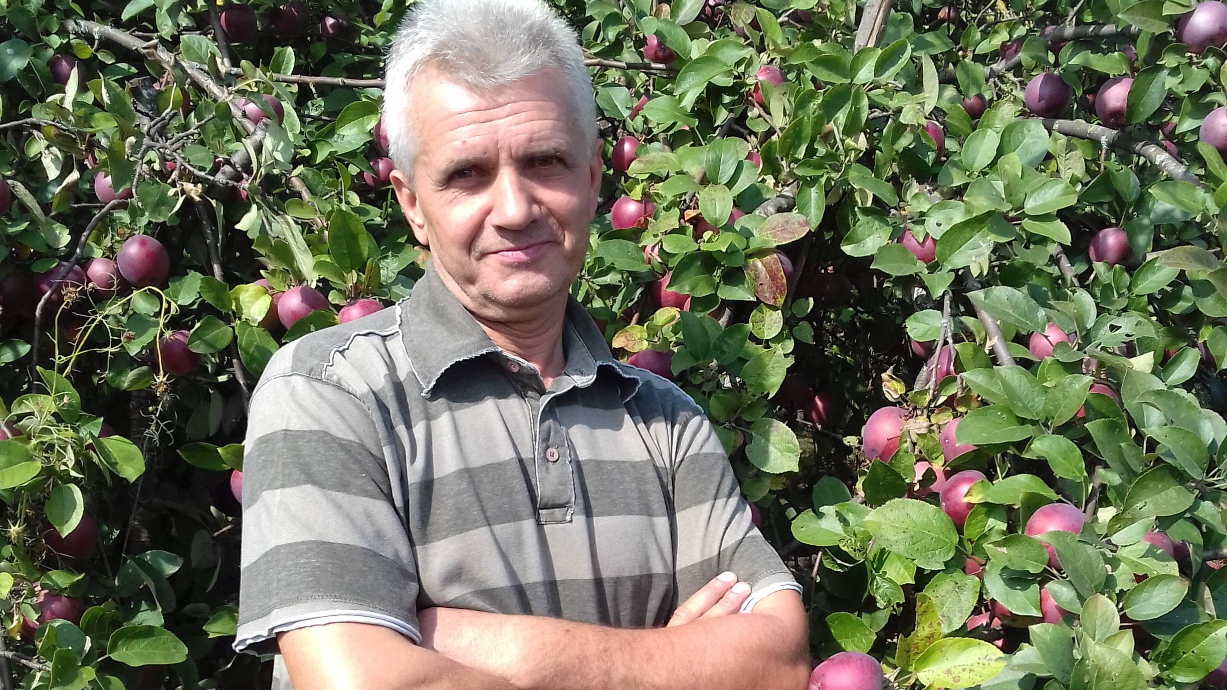 МАНГАЛ С РЕГУЛИРОВКОЙ  ПО ВЫСОТЕ .