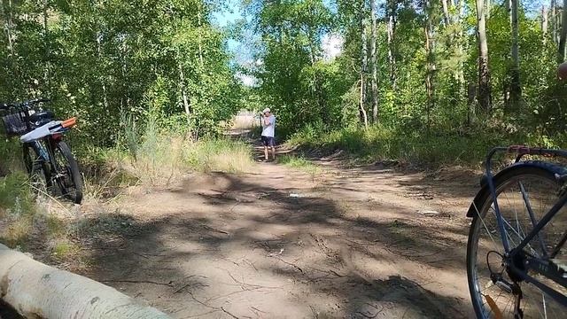 24.07.2023 Мама с папой гуляют с кошками , пока дети в лагере