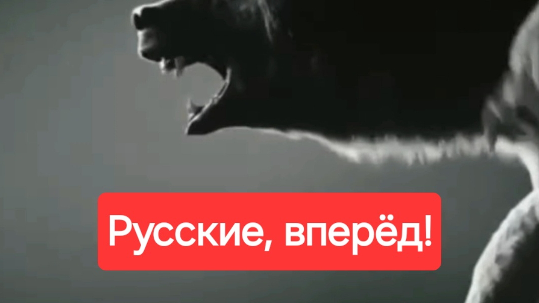 Русские, вперёд!🇷🇺 Россия. Путин
