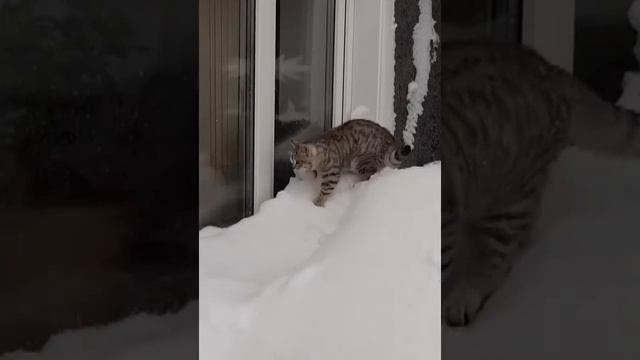 Машка СКАЛОЛАЗКА