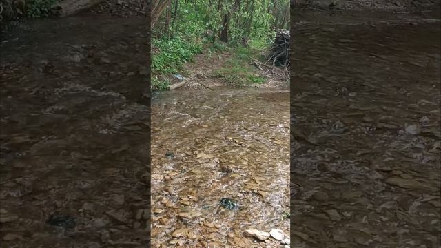 Наша природа прекрасна