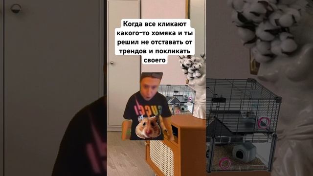 Когда не отстаёшь от трендов