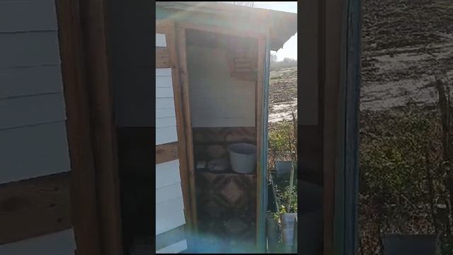 Гнездо шершней. Как оно выглядит изнутри.