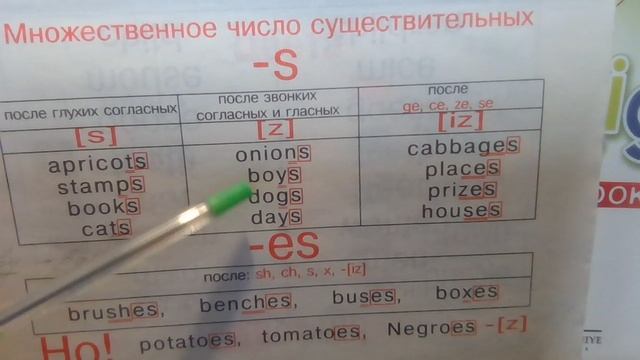 3 класс Английский в фокусе Модуль 2 стр.32 Глава 4b Множ.число существительных