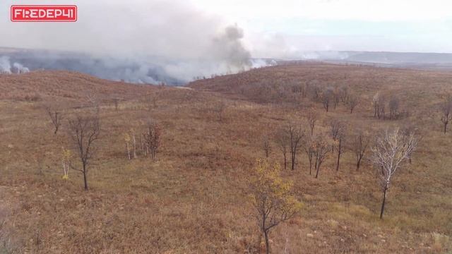 Как происходит тушение лесных пожаров, какие территории горят и насколько сложно с ними бороться?