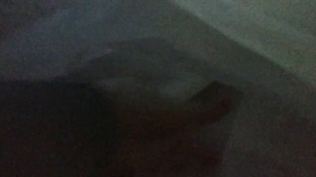 Укрытие винограда на зиму в теплице. Ноябрь 2019.