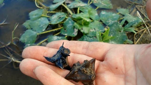 ПЛЕМЯ МУРСИ . ЭФИОПИЯ